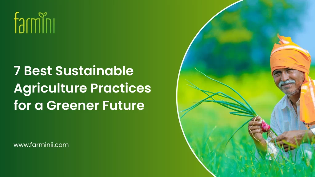 7 Best Sustainable Agriculture Practices for a Greener Future - Farminii